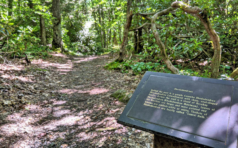 Flat Rock Nature Trail - Blue Ridge Parkway
