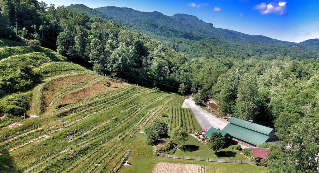 Blue Ridge Wineries Near Sugar Mountain