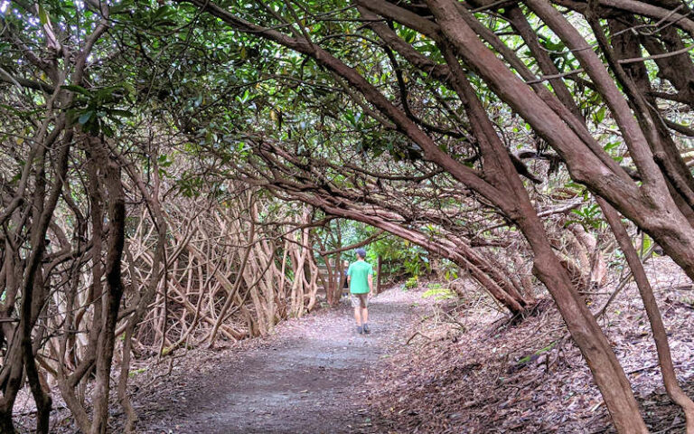 Boone Fork Trail - Blue Ridge Parkway near Sugar Mountain